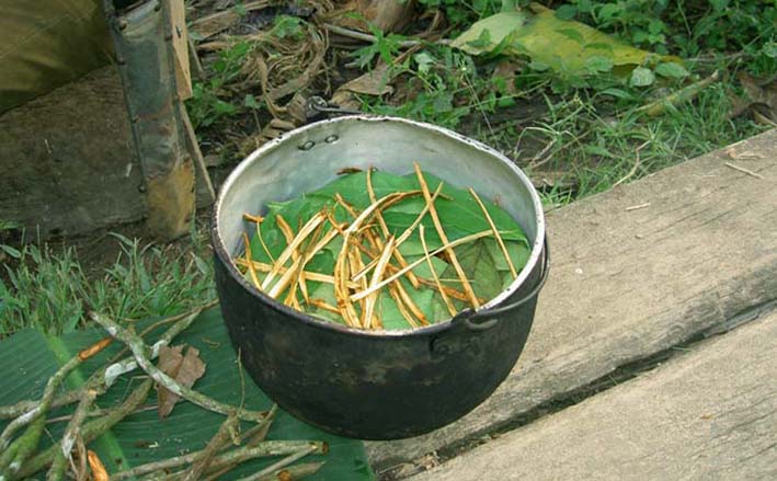 10 coisas que você devia saber para entender o Santo Daime